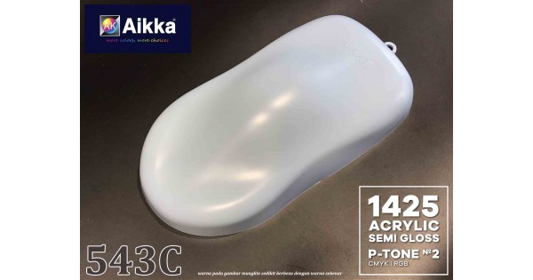 PANTONE COLOUR - 543C