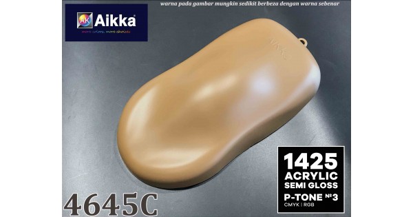 PANTONE COLOUR - 4645C