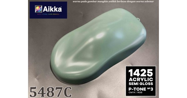 PANTONE COLOUR - 5487C