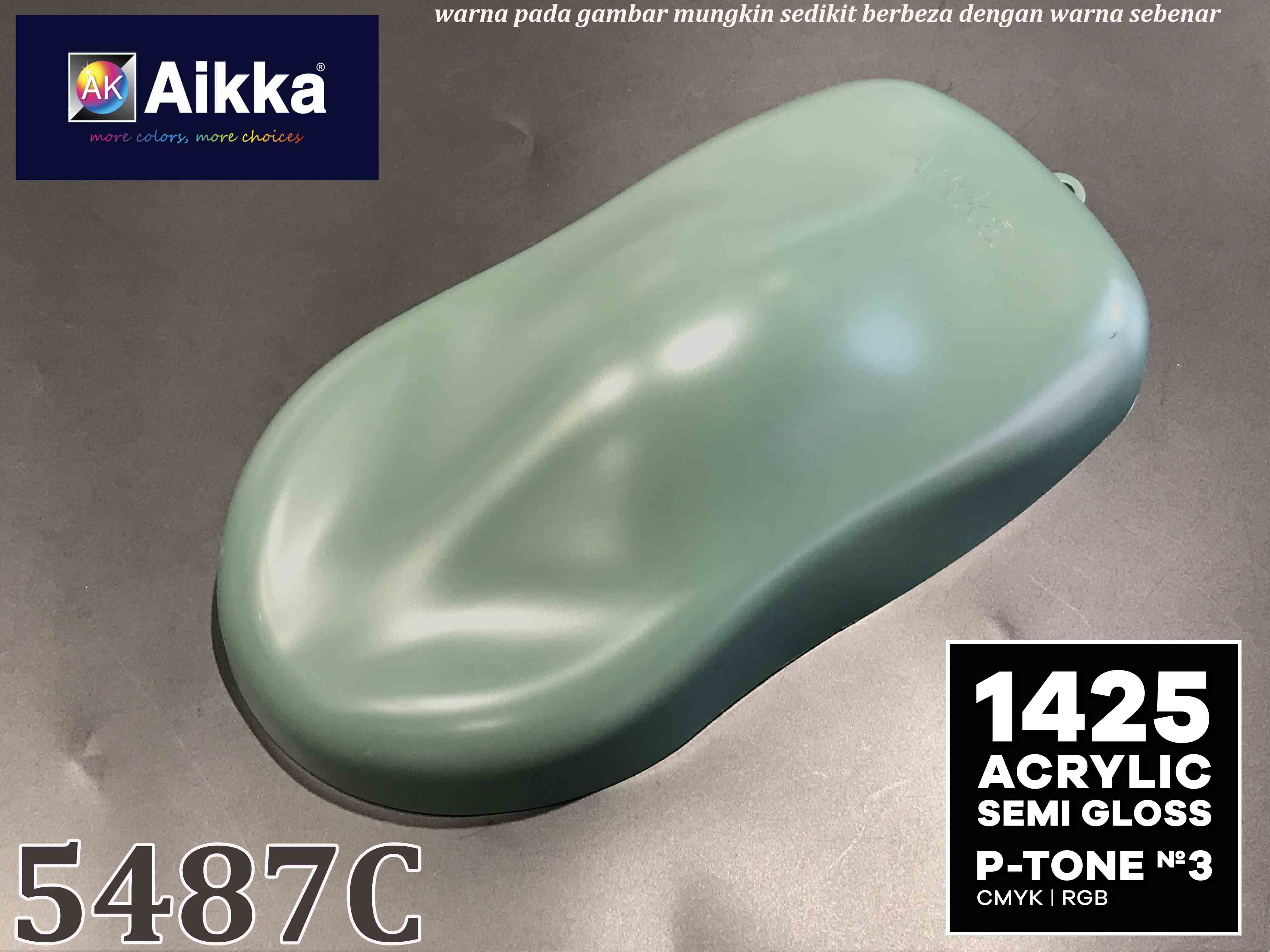 PANTONE COLOUR - 5487C